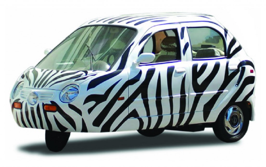 zebra car – Zebra Lymphatic